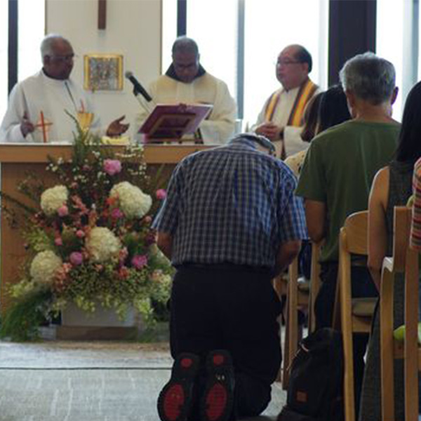 Celebrating 50 Years of Caring for Life - Assisi Hospice